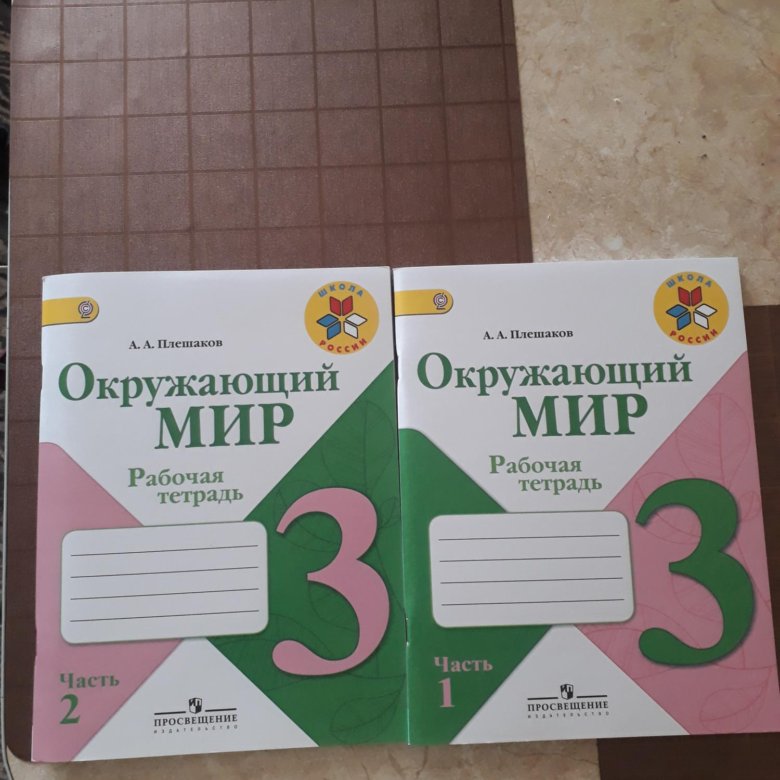 Рабочая тетрадь по окруж миру плешаков 3 класс: ГДЗ окружающий мир ...